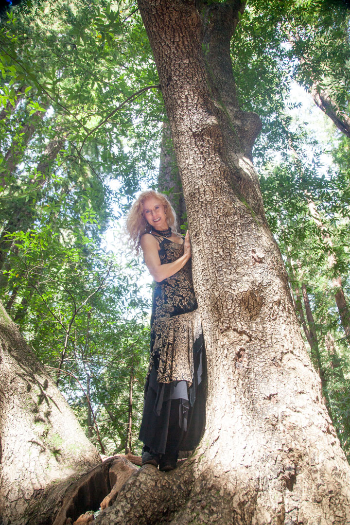 Crown In The Sky - CD Lis Addison